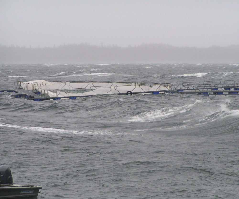 Custom Aquaculture Netting | Live Expert Help | Fast Lead Times