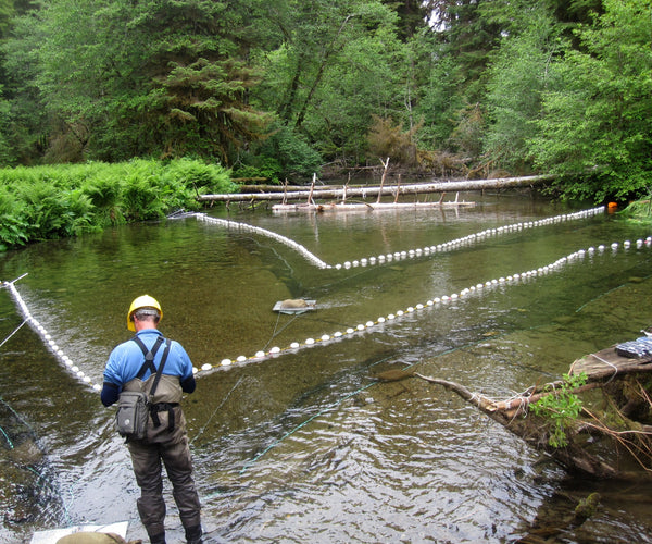 Custom Aquaculture Netting | Live Expert Help | Fast Lead Times