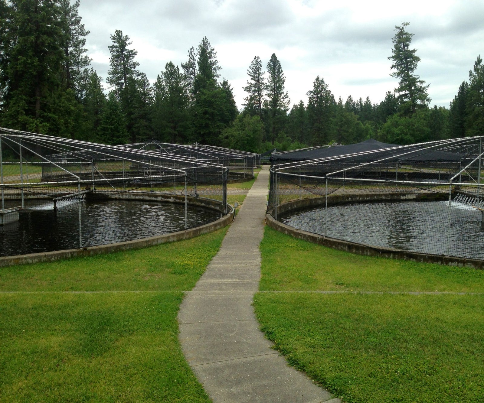 Custom Netting | Commercial Nets | Live Expert Help | Fast Lead Times
