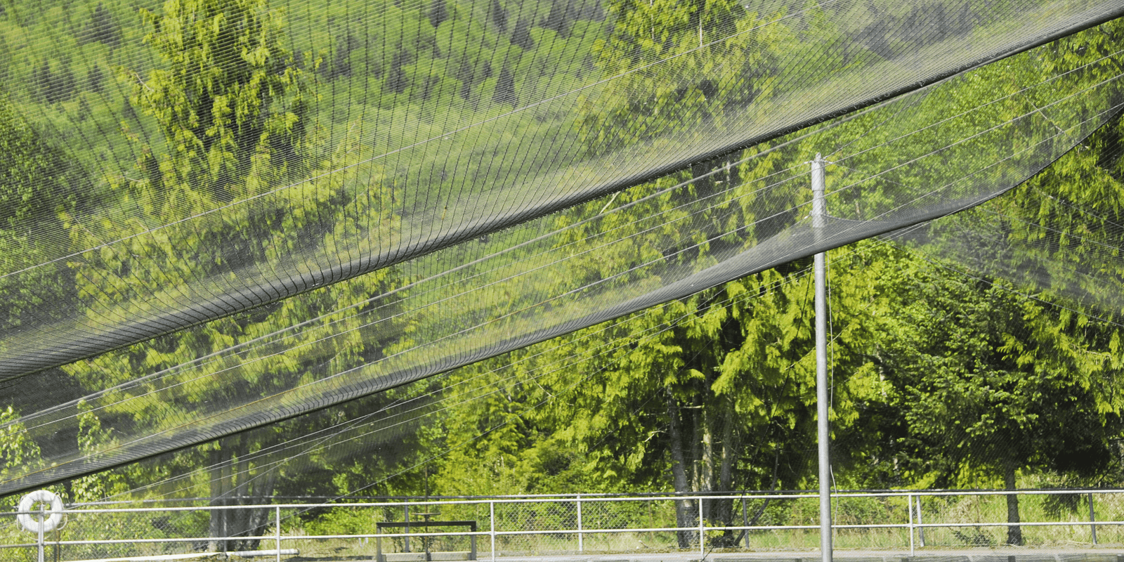 Custom Hatchery Bird & Predator Barrier Netting | Live Expert Help