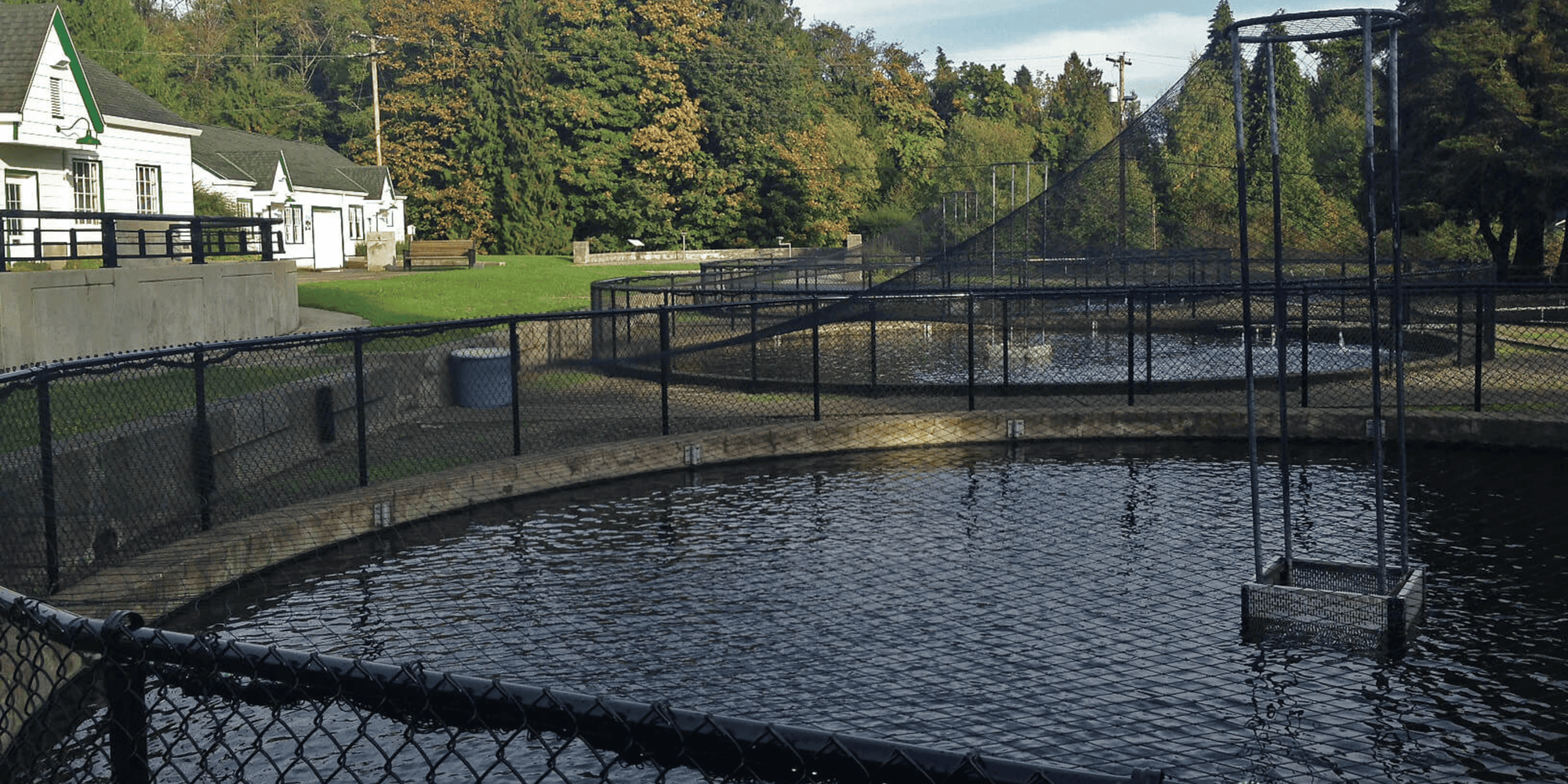 Custom Net Pens | Live Expert Help | Fast Lead Times